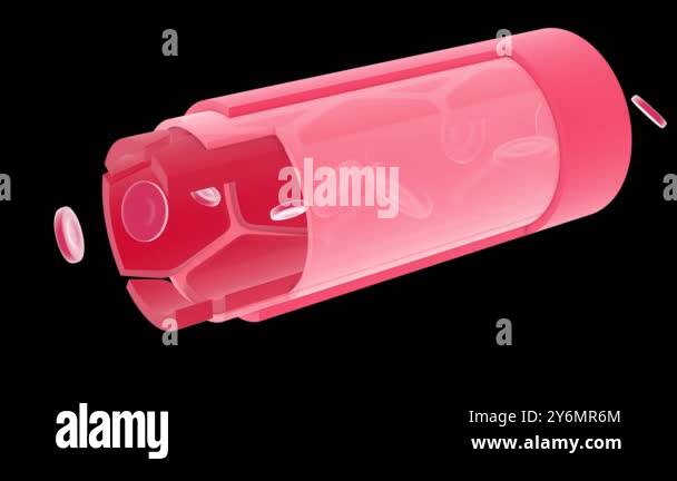 3D animation of the section of an artery or vein with the movement that ...