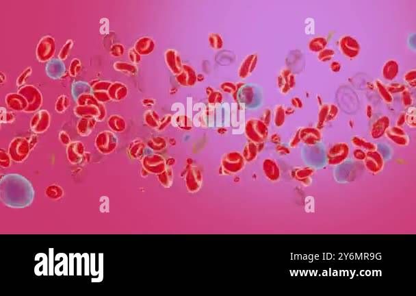 3d animation of the lateral movement of blood components. Red blood ...