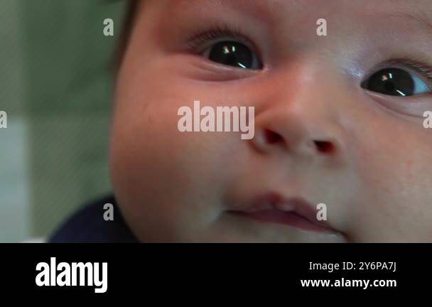 Curious eyes gazing Stock Videos & Footage - HD and 4K Video Clips - Alamy