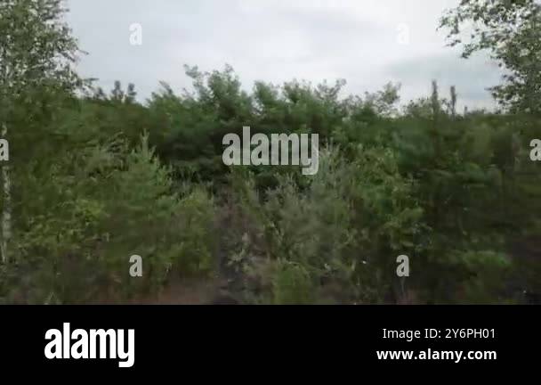 This video takes you on a journey through an abandoned and overgrown ...