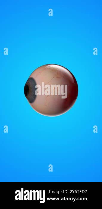 Human internal organ of eye Stock Video Footage - Alamy