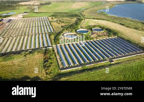 Aerial footage of sprawling solar farm with rows of solar panels installed on roofs of animal ...