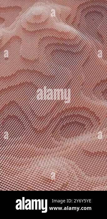 Abstract light pink motion of waving dots texture with glowing ...