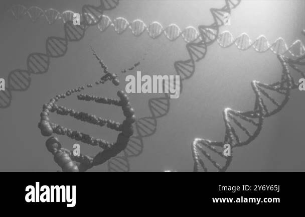 DNA model double helix deoxyribonucleic acid 3d animation 4k Stock ...