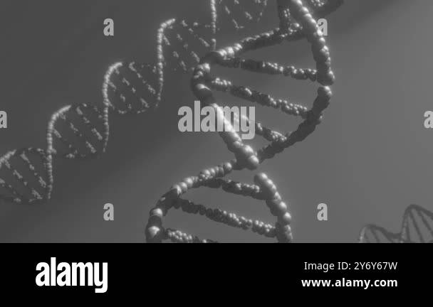 DNA model double helix deoxyribonucleic acid 3d animation 4k Stock ...