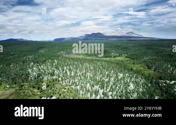 Rendalen Stock Videos & Footage - HD and 4K Video Clips - Alamy