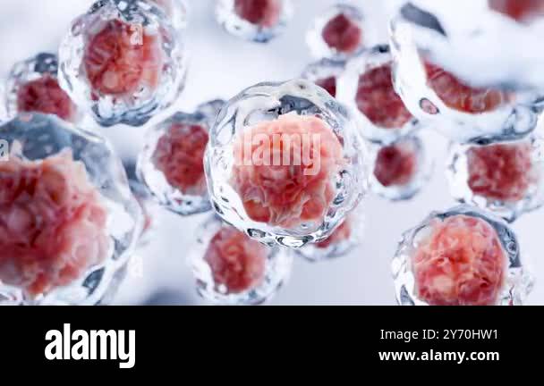 White blood cell human blood cells Stock Videos & Footage - HD and 4K ...