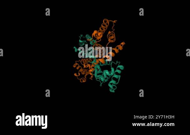 Color Illustration Human Muscular Stock Videos And Footage Hd And 4k