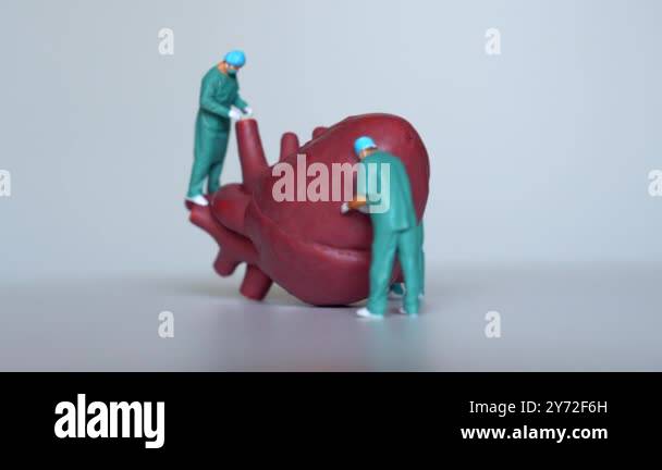 Surgical anatomy Stock Videos & Footage - HD and 4K Video Clips - Alamy