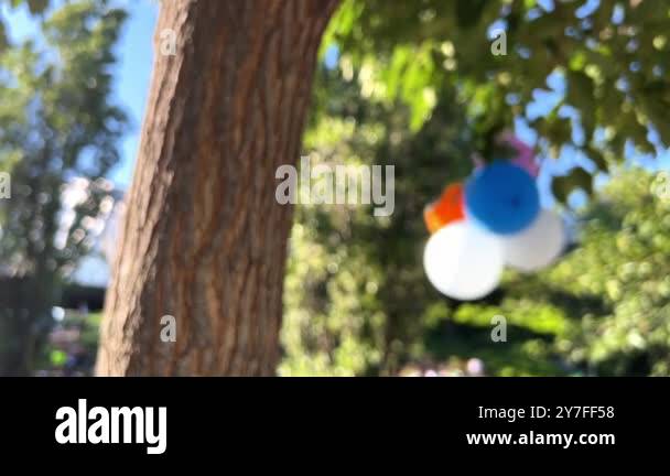 A tree with balloons hanging from its branches. The balloons are white ...