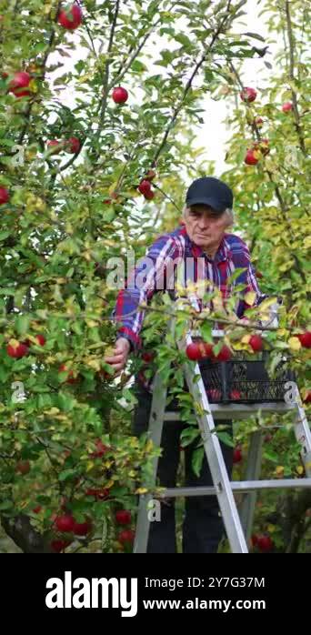 Rung ladder Stock Videos & Footage - HD and 4K Video Clips - Alamy