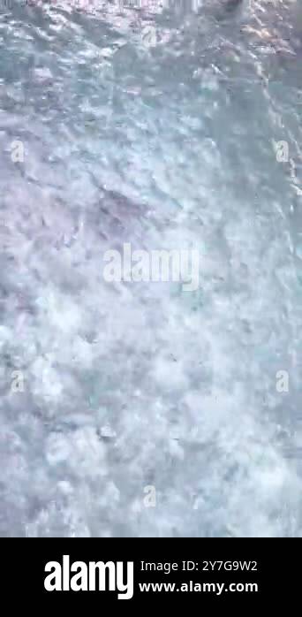 A mesmerizing video of a giant manta ray swimming gracefully in the ...