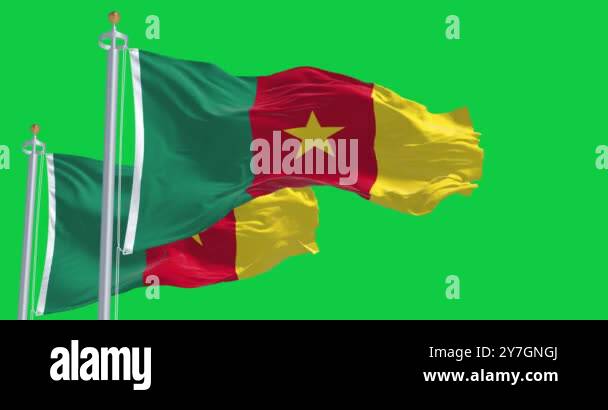 National flags of Cameroon waving in the wind. isolated on green ...