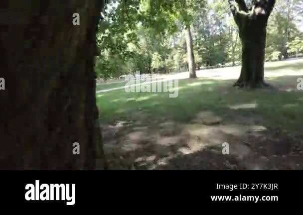 One hectare Stock Videos & Footage - HD and 4K Video Clips - Alamy