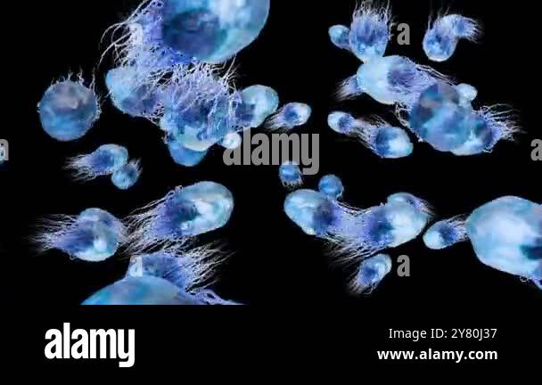 body immune response viral infection by releasing Cytokines, Cancer ...