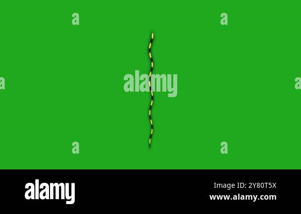 3d spine vector on Stock Videos & Footage - HD and 4K Video Clips - Alamy