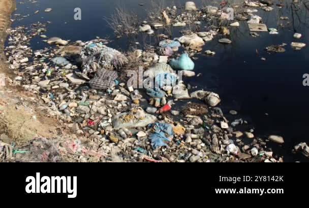 Toxic pond Stock Videos & Footage - HD and 4K Video Clips - Alamy