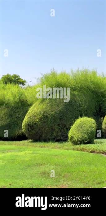 Modern landscape design focuses on blending natural elements with ...