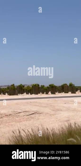 Boosting desert biodiversity through planting. Planting shrubs and ...