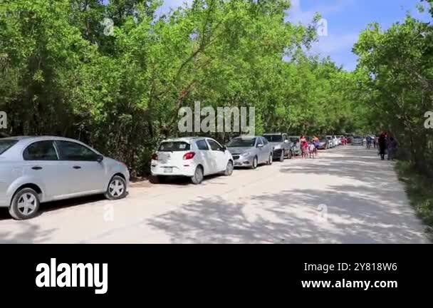 Various cars parked outside on the roadside by the tropical nature ...
