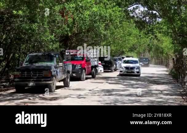 Various cars parked outside on the roadside by the tropical nature ...