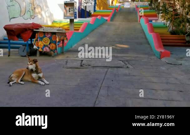Puerto Escondido Oaxaca Mexico 16. January 2023 Colorful stairs and ...