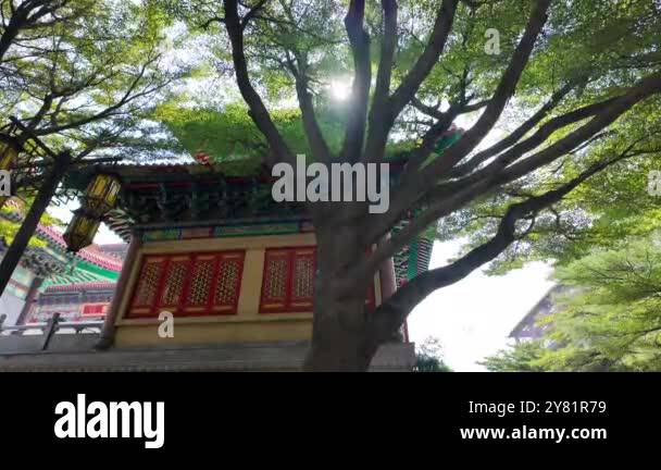 chinese new year 2025 2024 2026 zodiac snake culture architecture asia ...