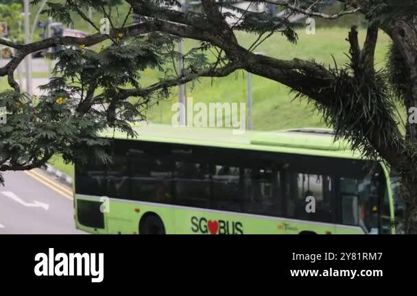 Singapore, 1 January 2024 : singapore public transportation bus . High quality 4k footage Stock ...