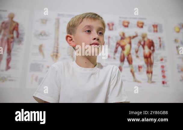 A curious boy captivated by a human body diagram eagerly explores its ...