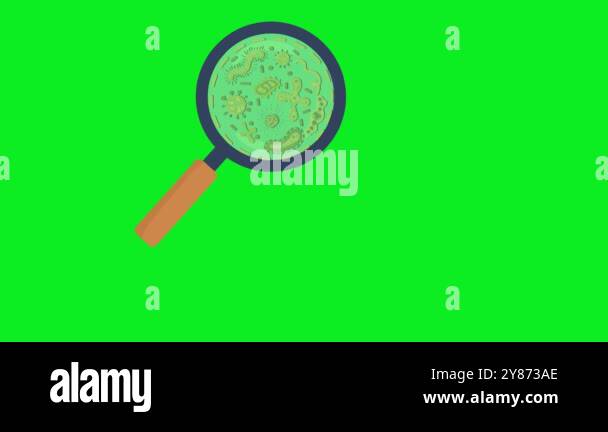 2d animated cartoon A magnifier glass and a lens that zooms in and ...