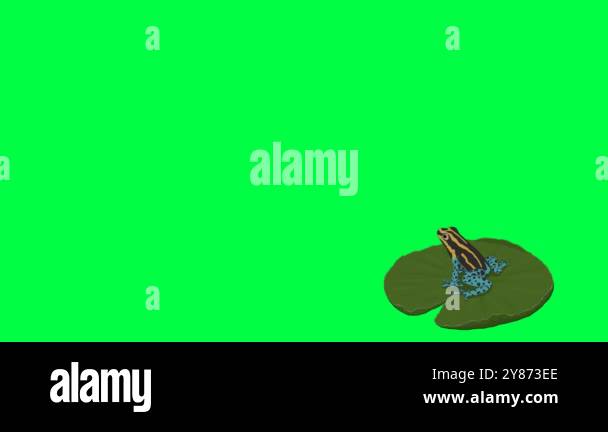2D animated frog character sitting on lotus leaf and jumping into water ...