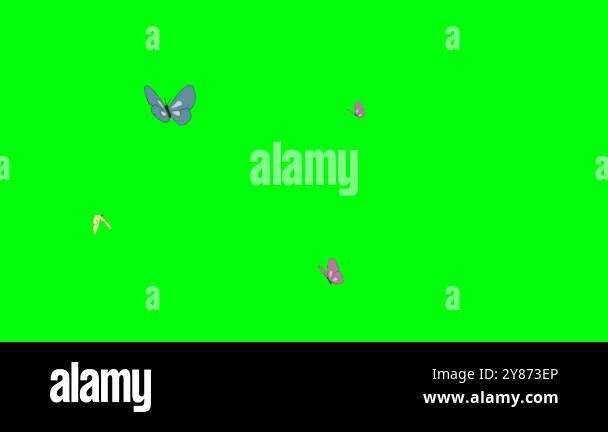 2D animated four butterfly characters flying and circling flowers in ...