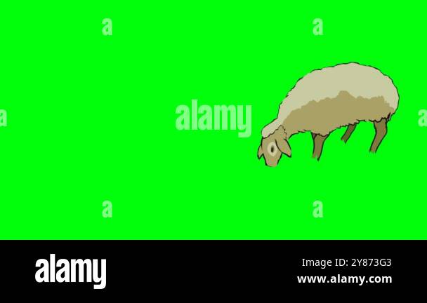 2D animated sheep characters walking, grazing, eating plants in green ...