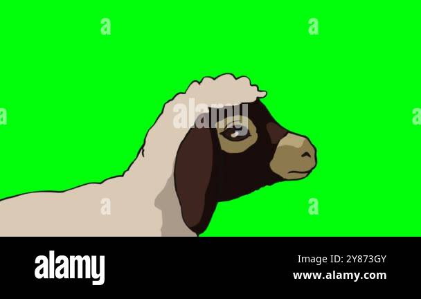 2D animated lamb character moves its head, makes sounds in green screen ...