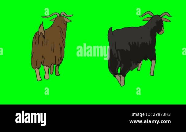 2D animated two goats character walking cycle back angle in green ...