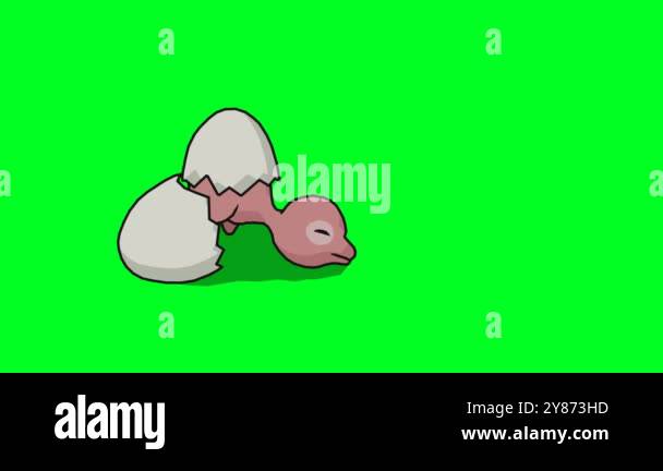2D animated embryo bird character that has just hatched in green screen ...
