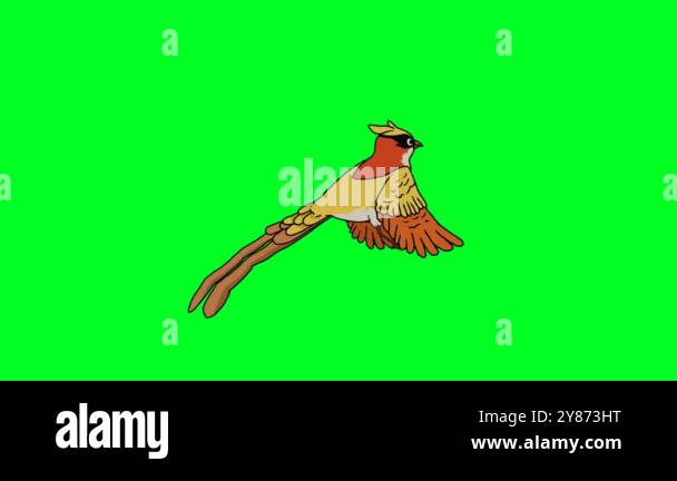 2D animated Beautiful colorful bird character flight cycle in green ...