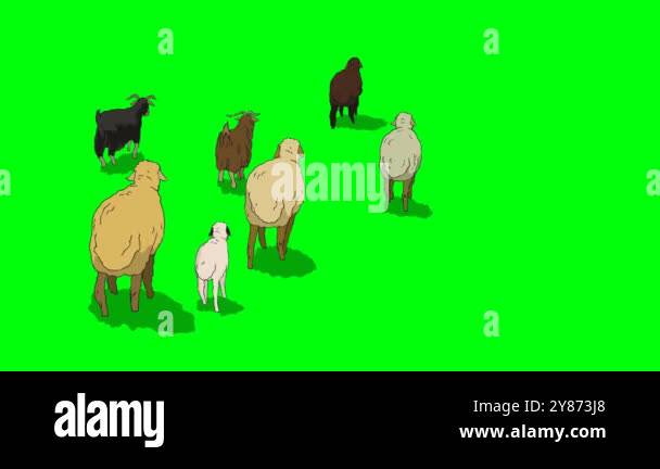 2D animated sheep herd characters walking away in plain from back angle ...