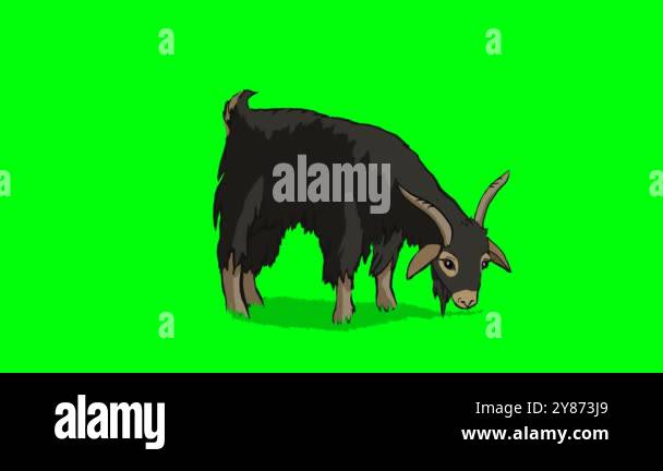 2D animated goat character cycle grazing, raises head and looks ...
