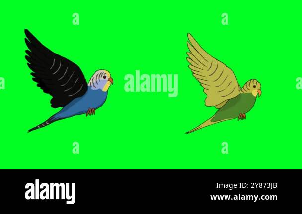 Parrot life cycle Stock Videos & Footage - HD and 4K Video Clips - Alamy