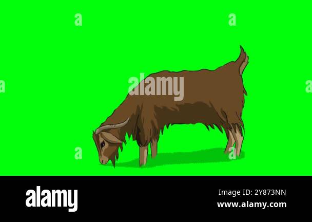 2D animated goat character cycle grazing and raises head in green ...