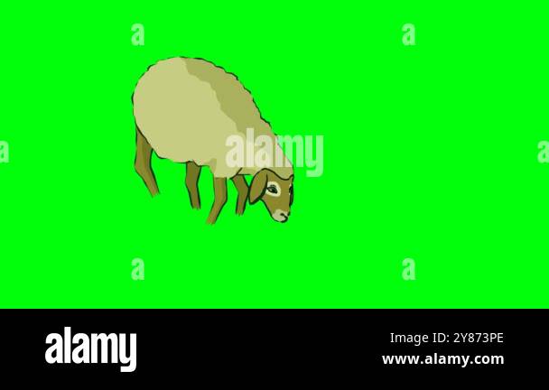 2D animated sheep character walking, grazing, eating plants in green ...