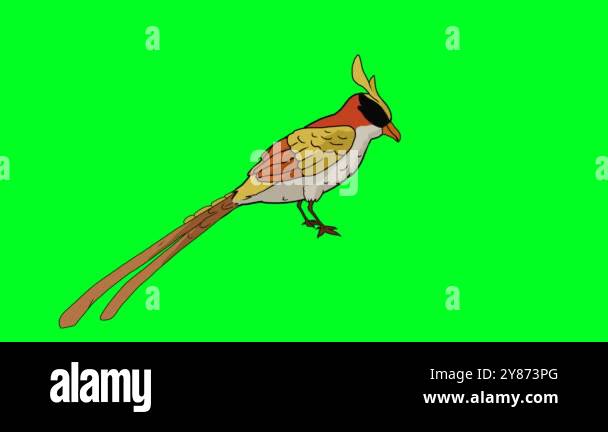2D animated colorful bird character gets scared and stares at camera in ...