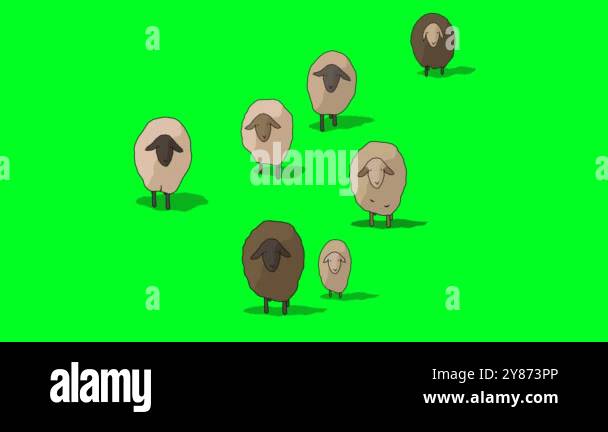 2D animated flock sheep characters walking cycle in front angle green ...