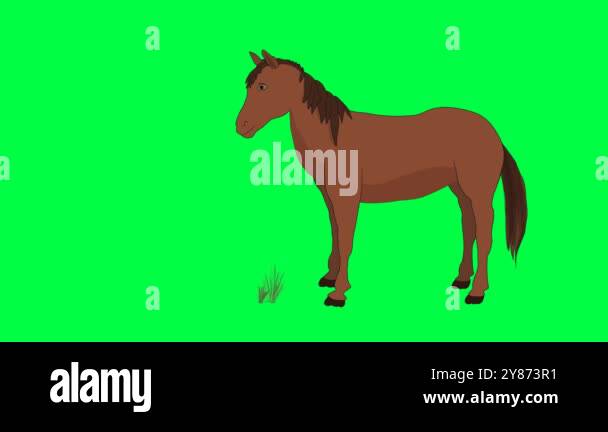 2D animated horse character cycle cartoon grazing in green screen. 4K ...