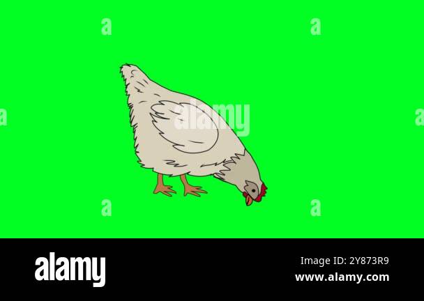 2D animated chicken characters drinking water cycle cartoon in green ...