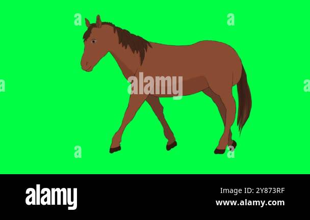 2D animated cartoon horse character cycle walking in green screen. 4K ...