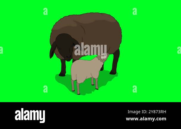 2D animated sheep character that is milking its lamb in cycle in green ...