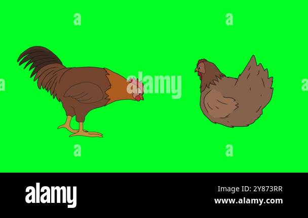 2D animated rooster and chicken characters eat seeds and sit in green ...