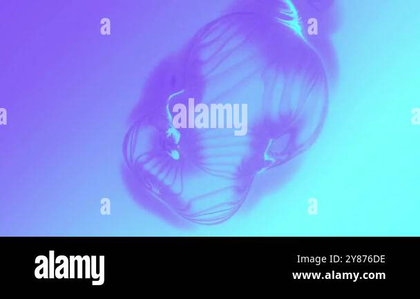 Geometric abstraction with thin lines in purple and blue neon hues. Digital seamless loop ...